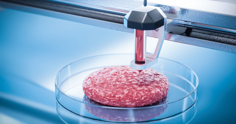 The Revolution Will Be 3D Printed: The Future of Meat and Fish ...